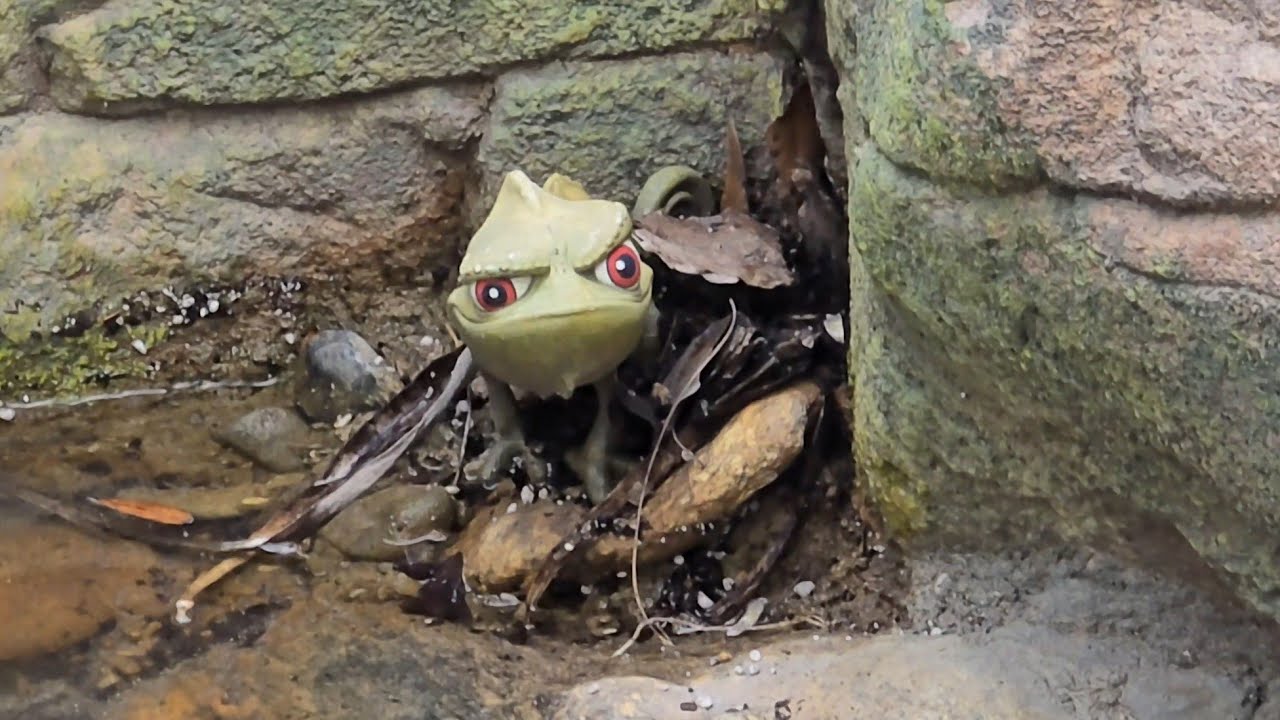 Hidden Pascal in Magic Kingdom - YouTube