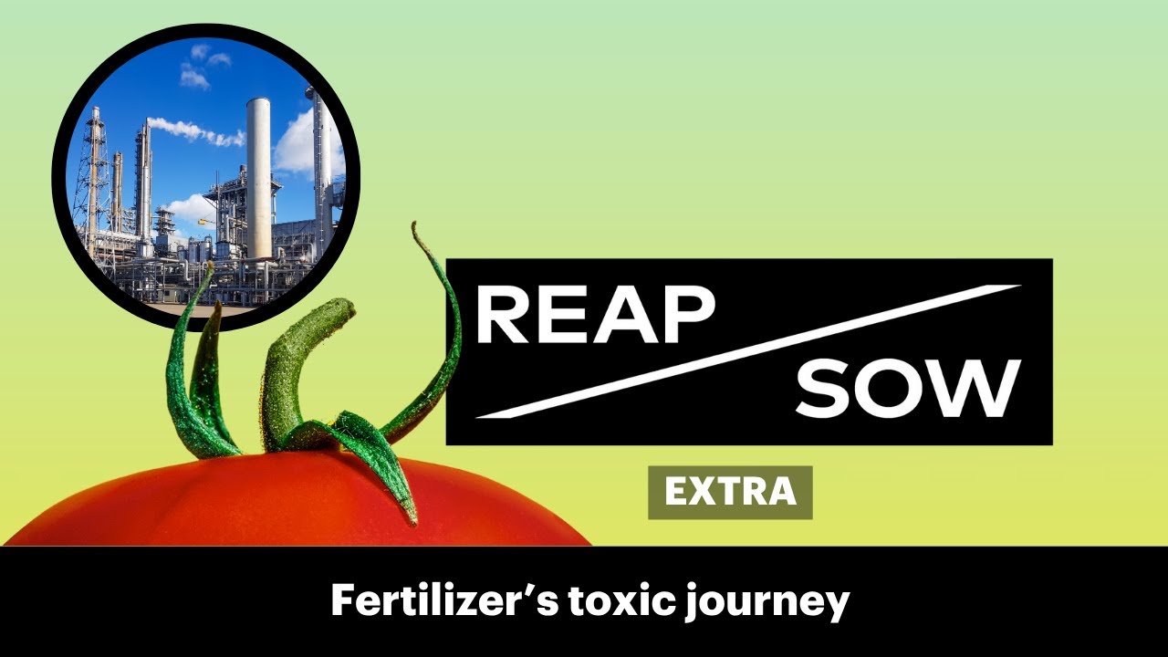 REAP/SOW Extra | Fertilizer's toxic journey - YouTube