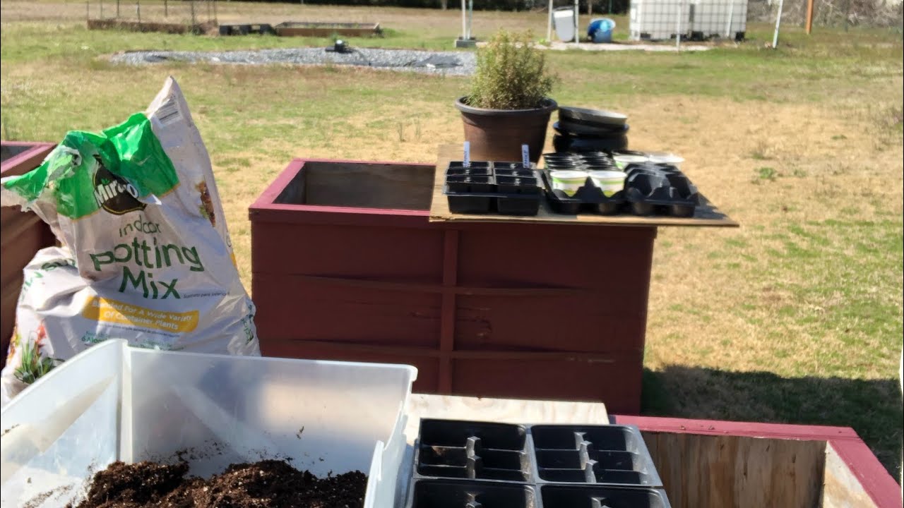 HAPPY PLANTING @WE THE PEOPLE - YouTube