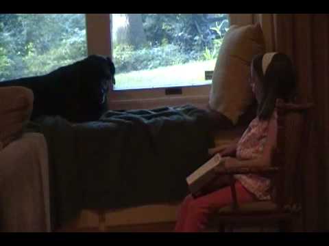 Anna animals 3 - YouTube