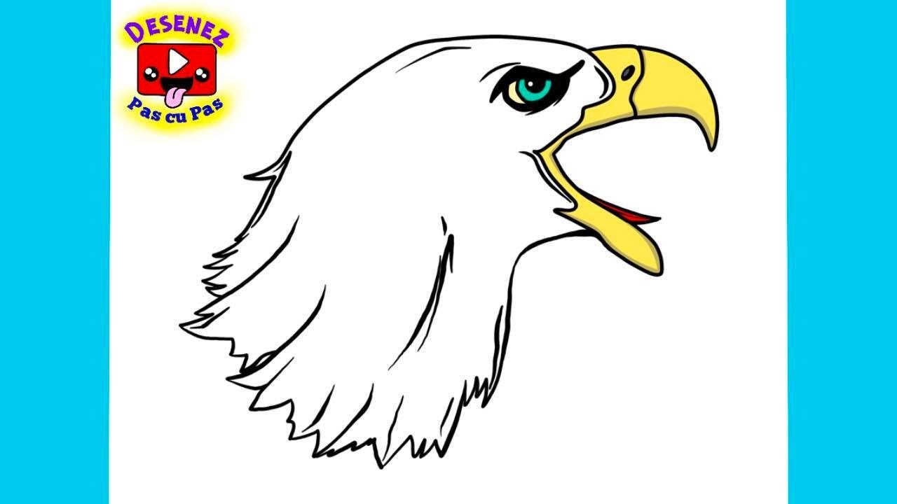 Cum DESENEZ un VULTUR Usor de Desenat Pas cu Pas🦅 HOW TO DRAW EAGLE ...