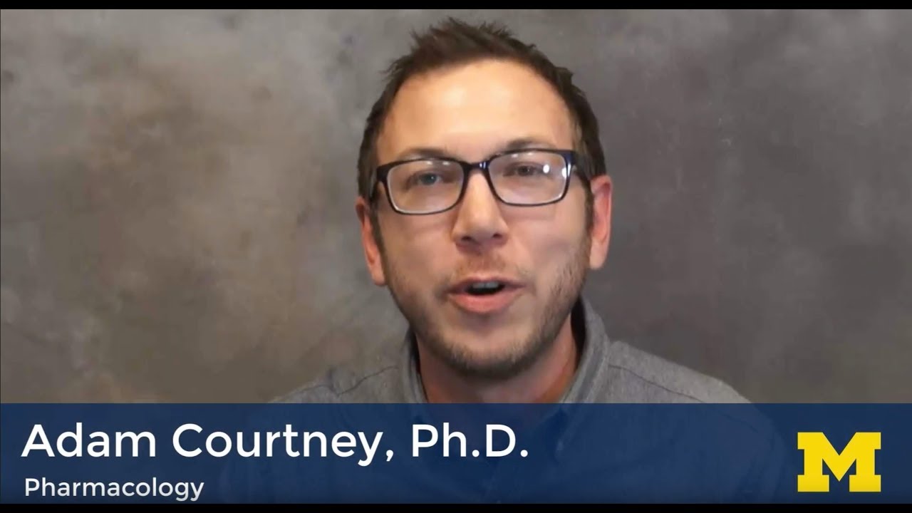 Dr. Adam Courtney - YouTube