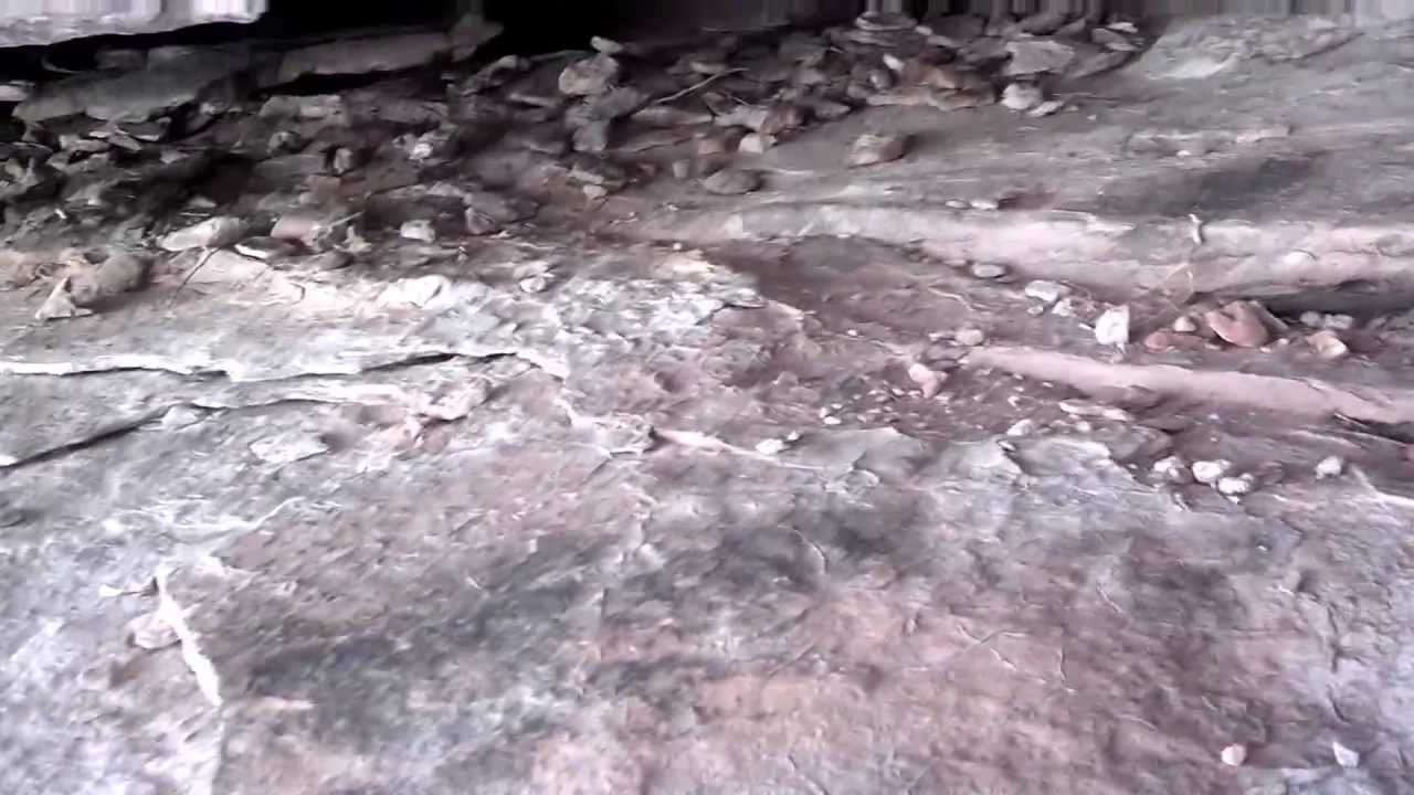 Red Spring Park, Nevada (31MAR2013) | 6 of 10 - YouTube