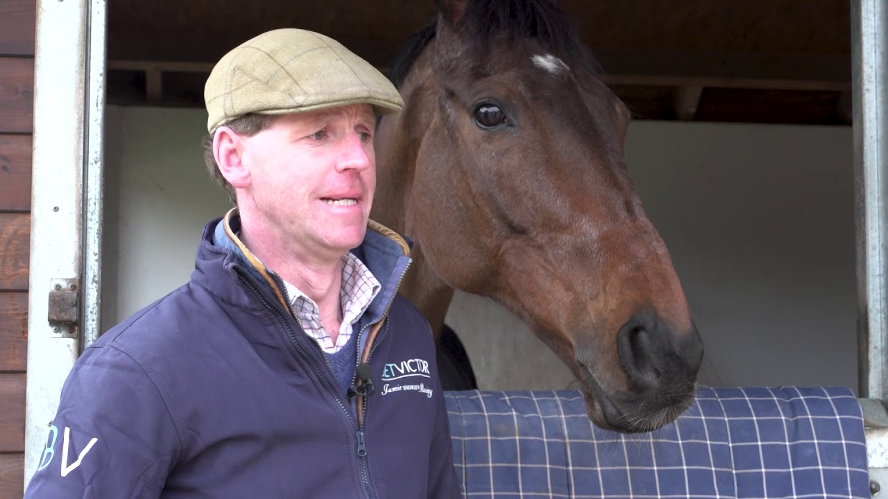 Jamie Snowden Cheltenham Festival Stable Tour - YouTube