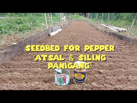 HOW TO MAKE TRADITIONAL SEEDBED FAST AND EASY? BEGINNERS GUIDE ...