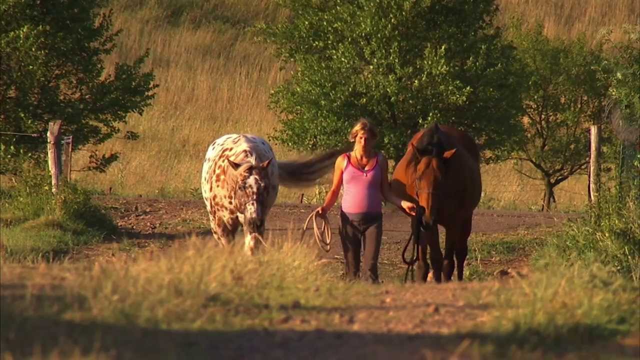 wefeedpeople - der trailer - YouTube