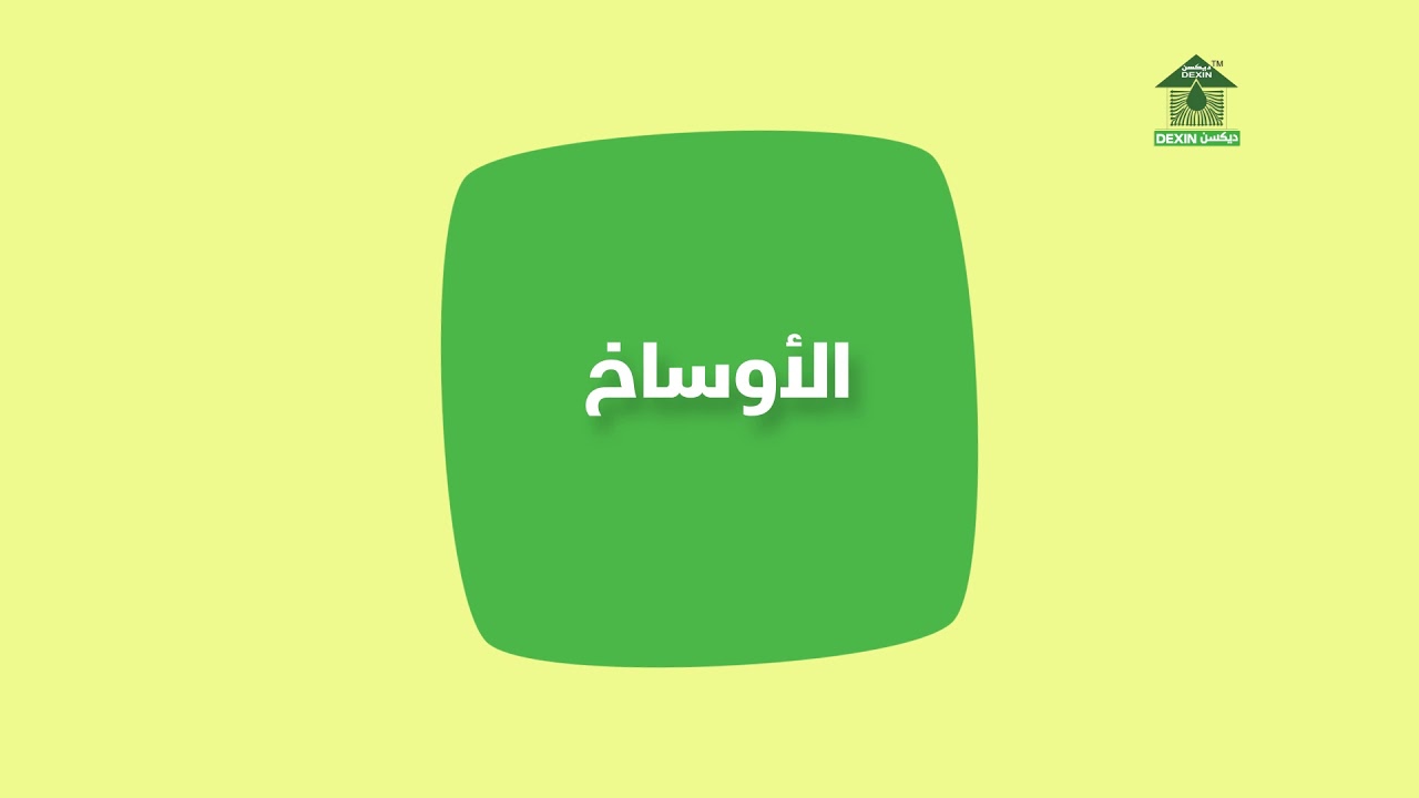 DEXIN TILE & SURFACE CLEANER - YouTube