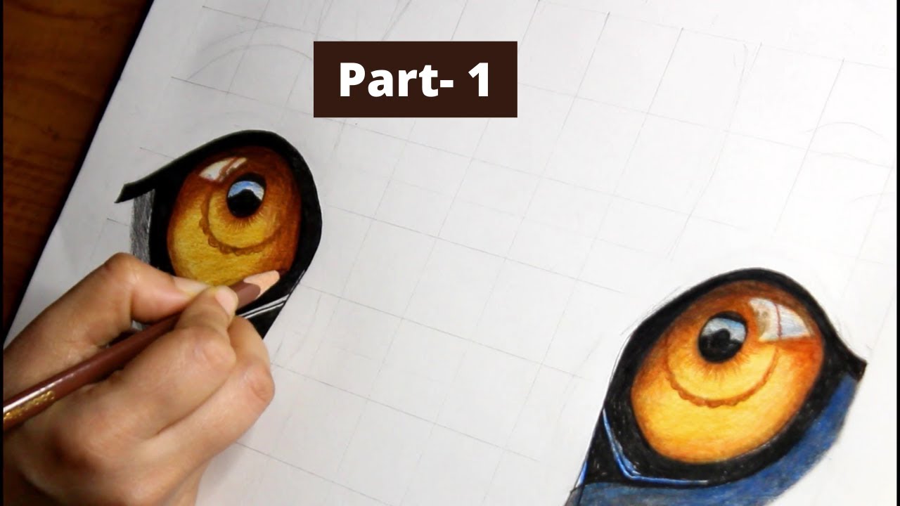 Realistic Tiger Eyes| (Part- 1)| Realistic drawing| Color pencil ...
