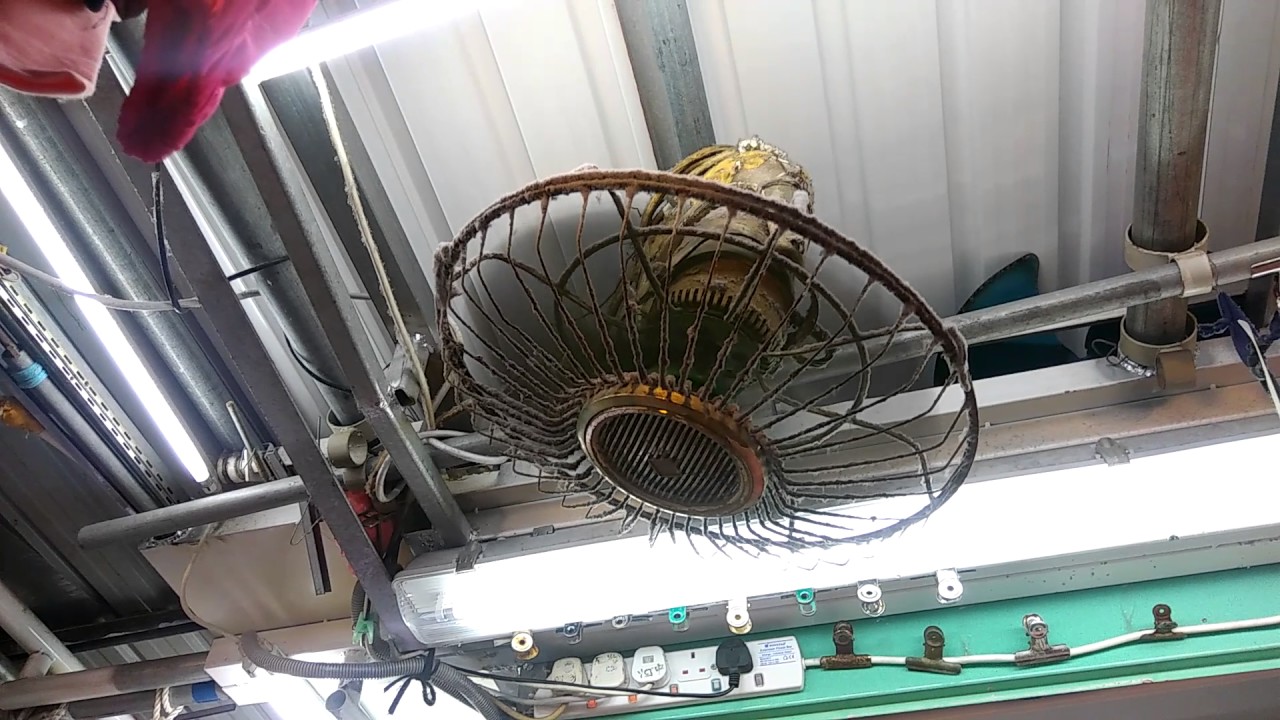 KDK Orbit ceiling wall fan by shop - YouTube