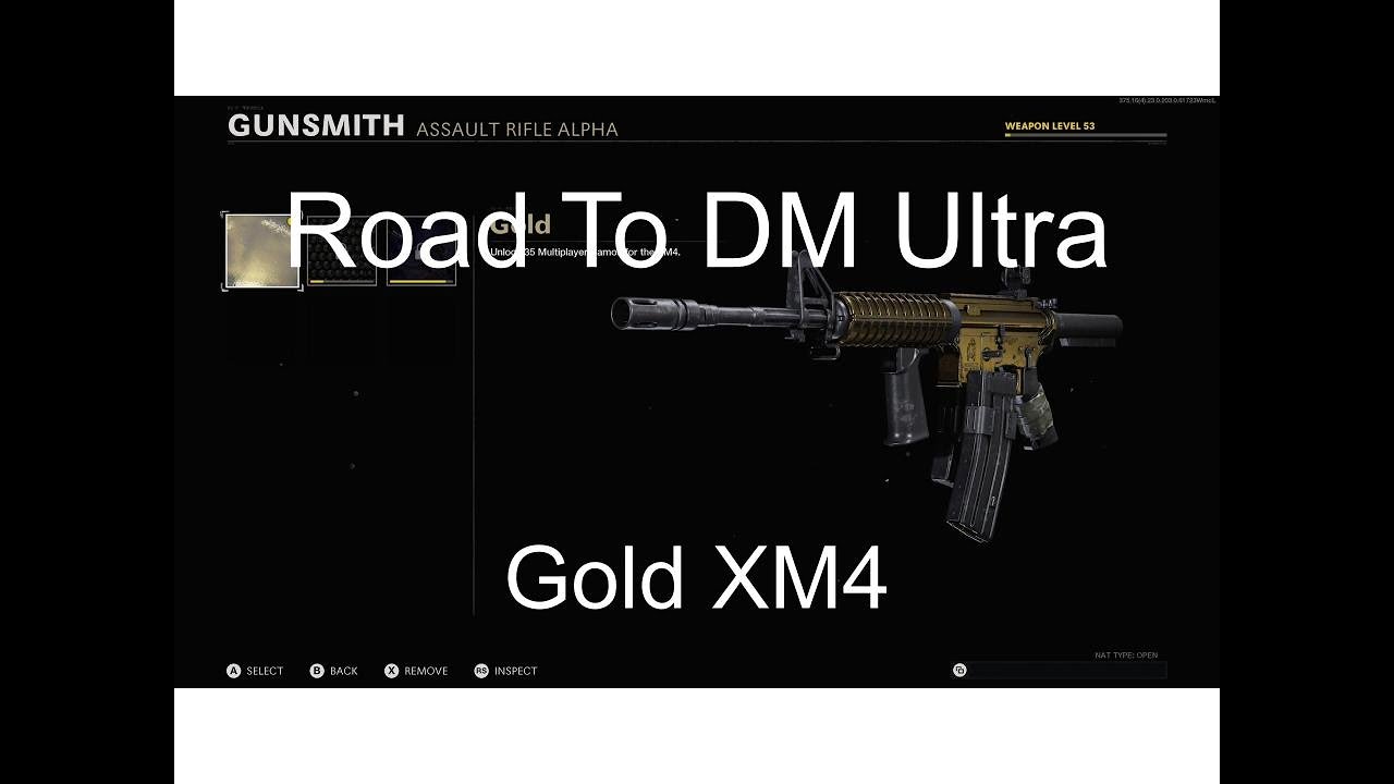 Cold War: Road To DM Ultra: Gold XM4 - YouTube