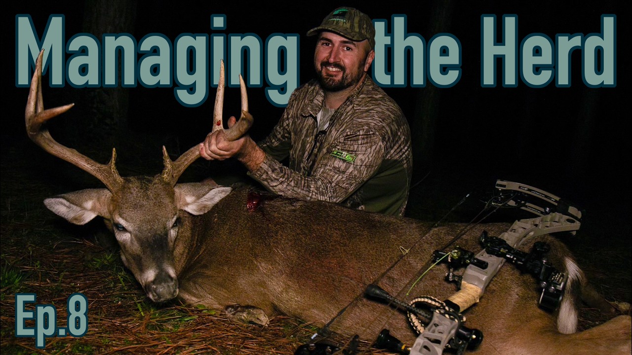 Mississippi Whitetail Management - Hunting Old Bucks on the Big Black ...