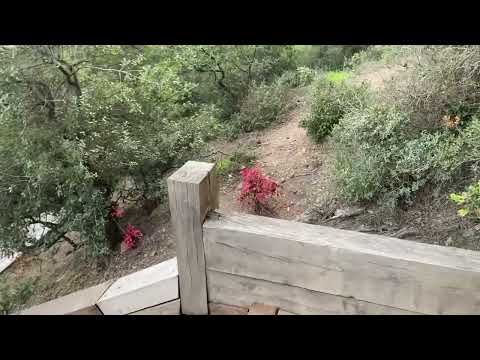 Seyir Terası Ve Gölet, ATATÜRK Kent Ormanı | Hacıosman | Sarıyer | İstanbul | TÜRKİYE | 