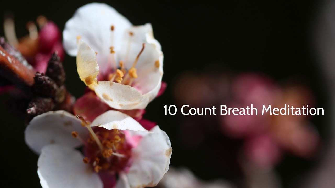 10 Count Breath Meditation - YouTube