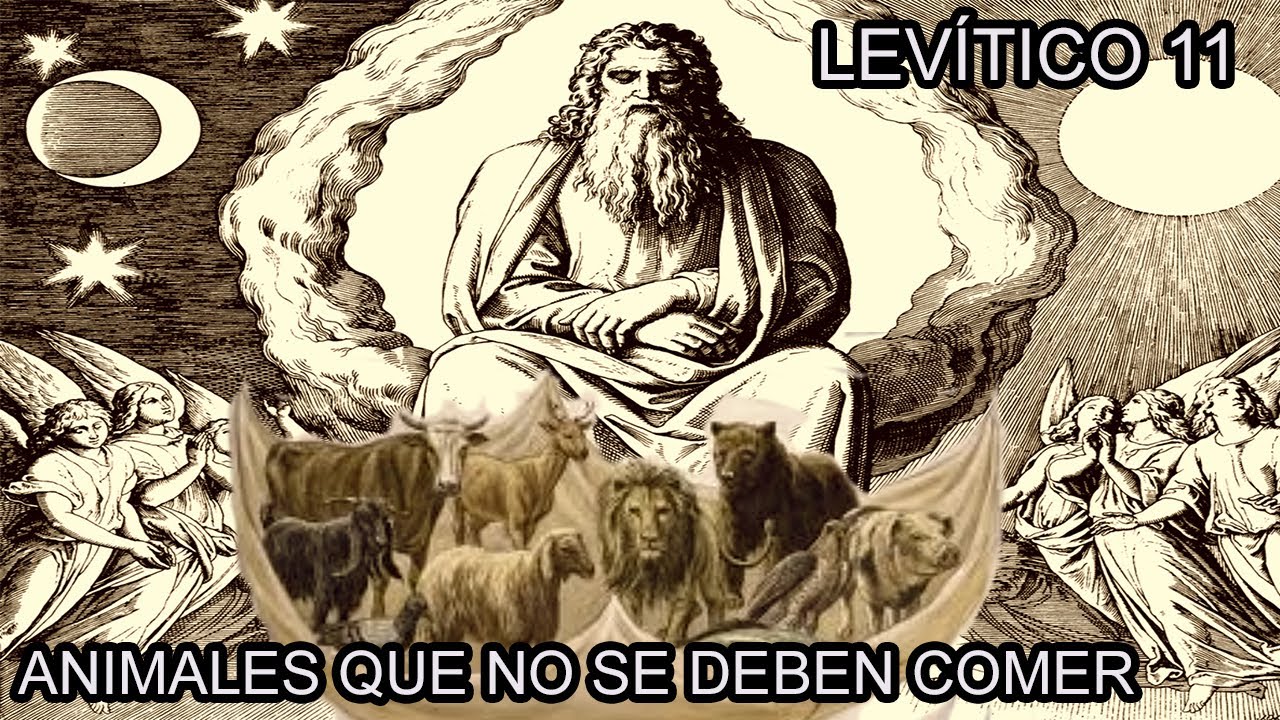 Los ANIMALES que NO PODÍAN COMER los ISRAELITAS (Levítico 11: Animales ...