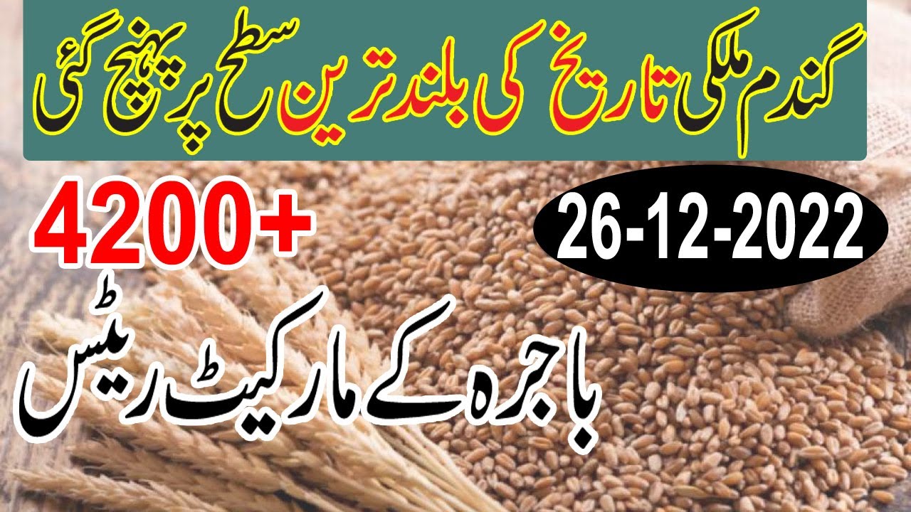 Wheat Bajra rate today | Wheat price today | Gandum rate today | Bajra ...
