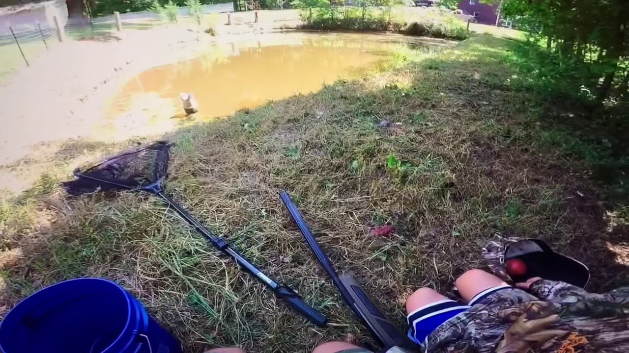 Giant Bullfrog Hunting With The Gamo Bone Collector!! - YouTube