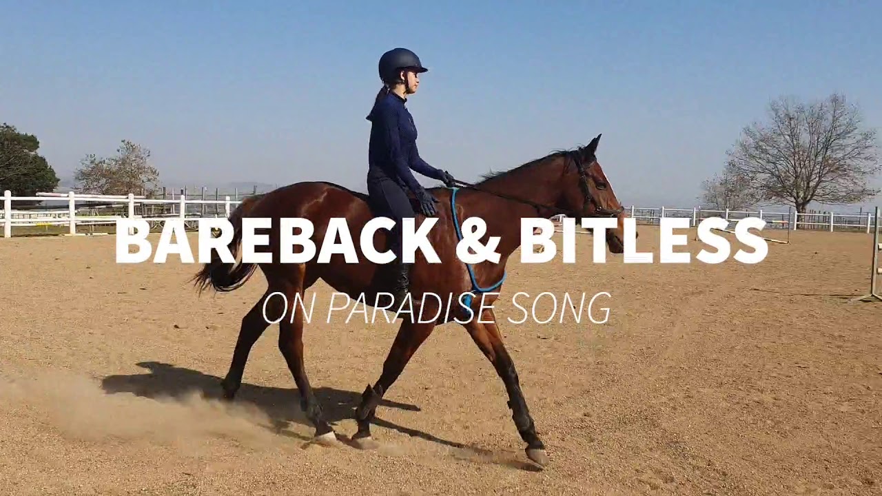 Bareback and Bitless - YouTube