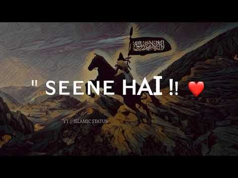 mola ali stasu