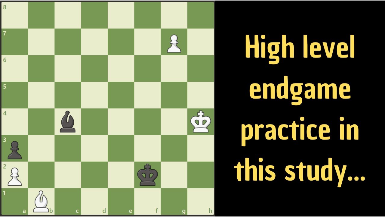High level study! White to move and win. - YouTube