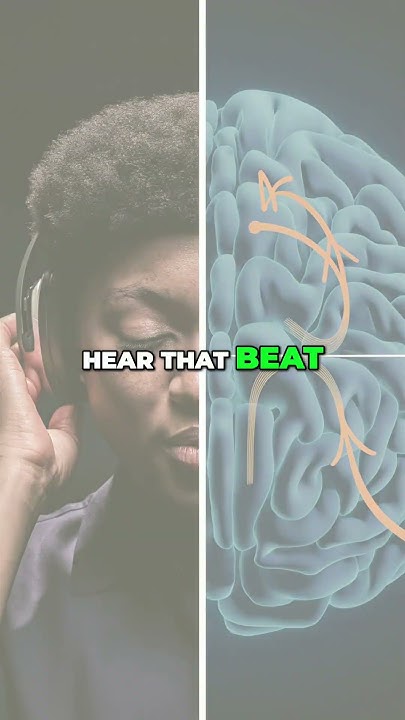 How Does The Human Brain Process Information? - YouTube