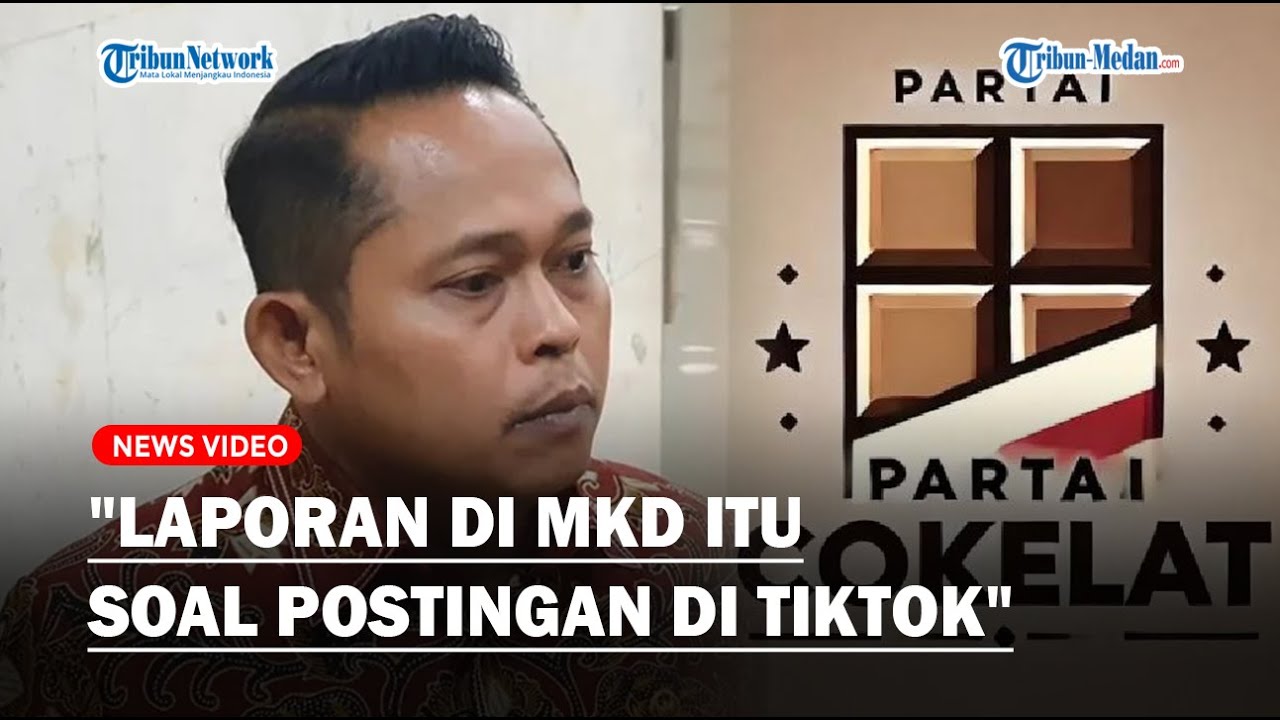 Partai Cokelat di Pilkada 2024, Ini Respons Politisi PDIP Yulius ...