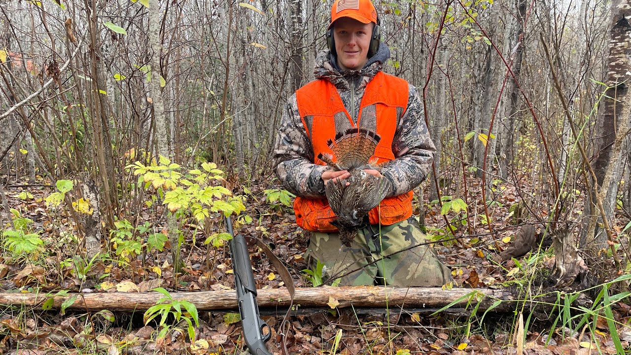 Northern Minnesota grouse hunt. - YouTube
