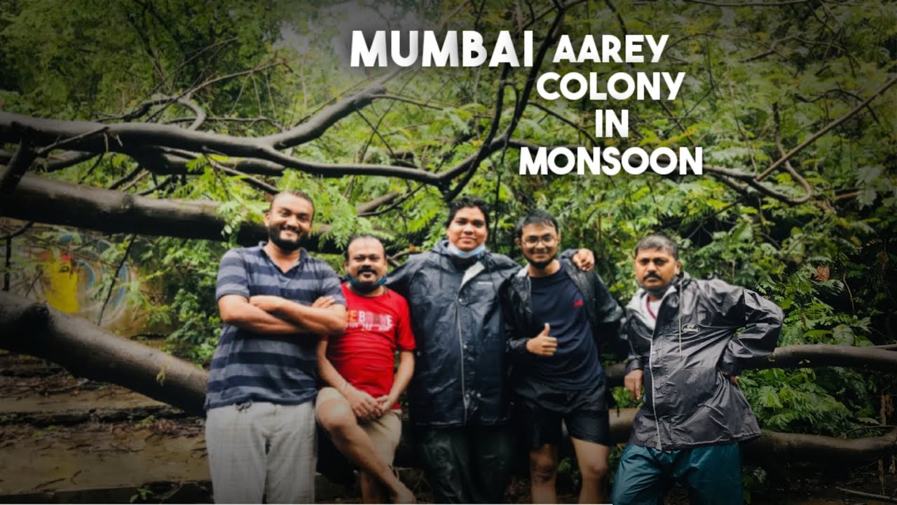 Aarey Colony in Monsoon | Mumbai Aarey Forest | Greenery in Mumbai City ...