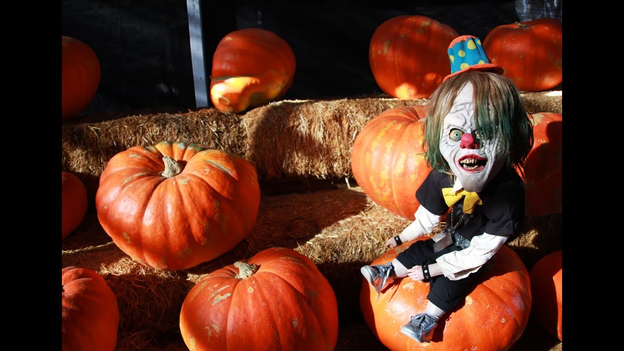 TRIPPY'S SCARY PUMPKIN TUTORIAL - YouTube