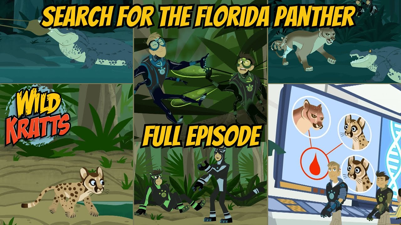 Wild Kratts S03E14 - Search for the Florida Panther (Full Episode ...