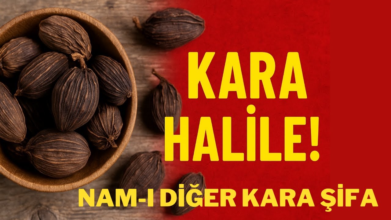 KARA HALİLE FAYDALARI NELERDİR | KARA HALİLE NEDİR VE NE İŞE YARAR ...
