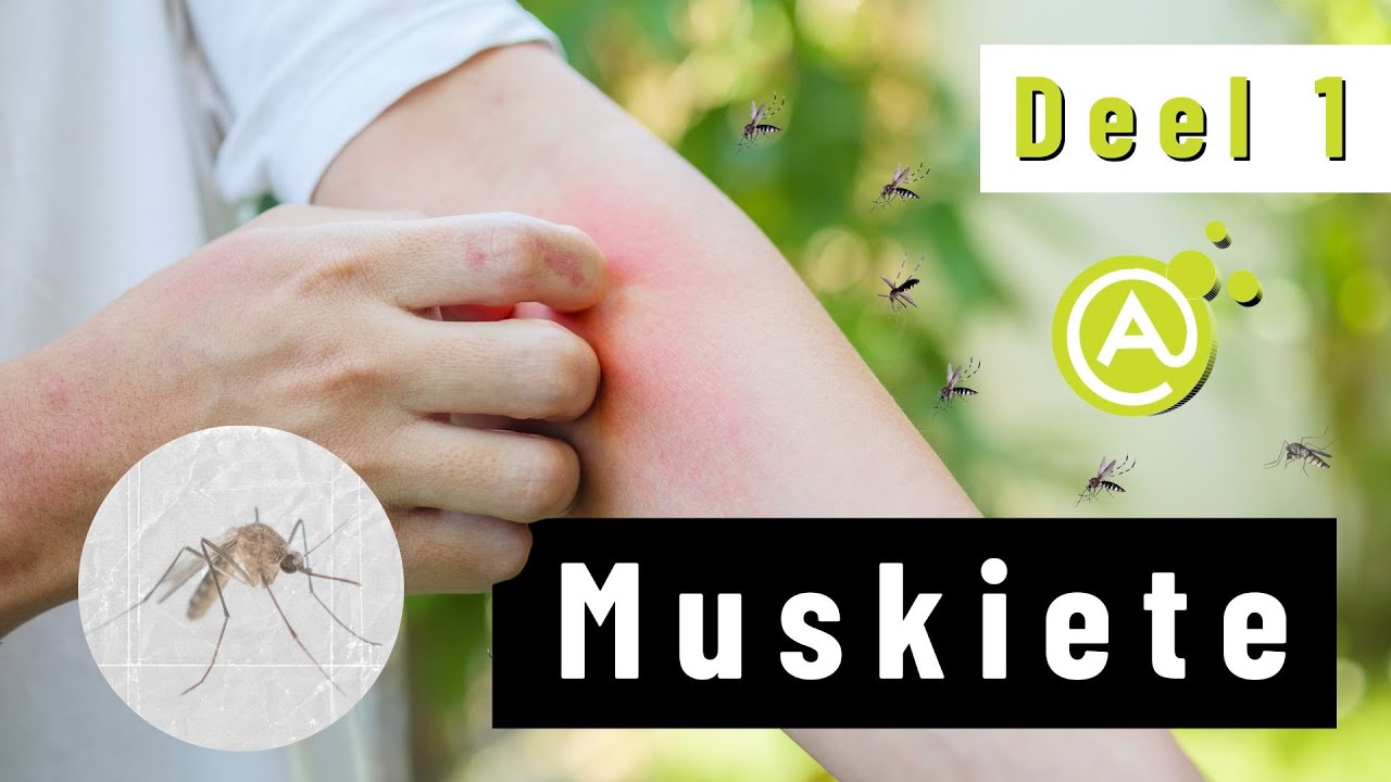 Muskiete (Deel1) - YouTube