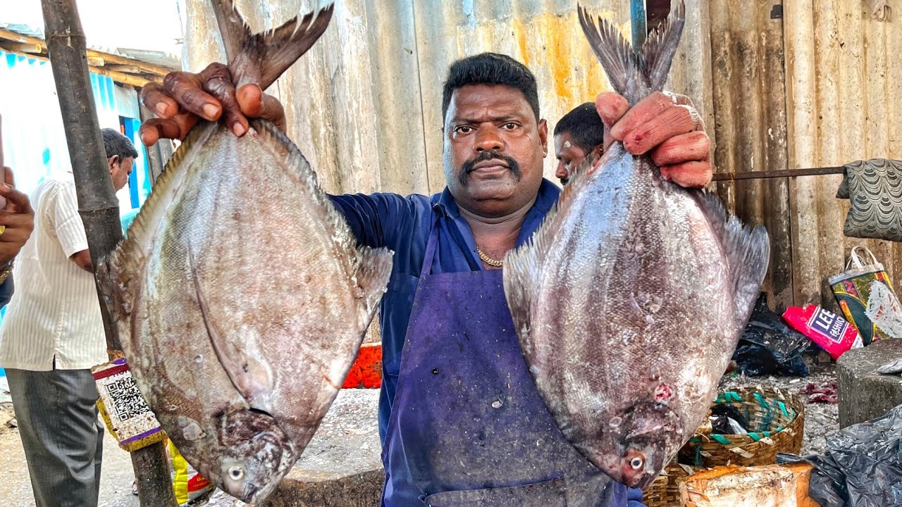 KASIMEDU SPEED SELVAM FISH CUTTING VIDEO - YouTube