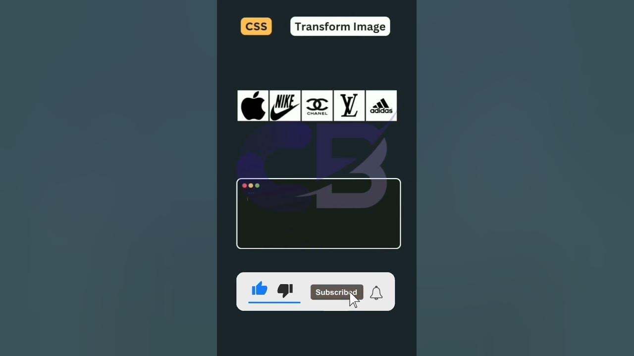 Css Image Css Mini Project Css Project Css Codelife Coding Html5 Webdesign Youtube