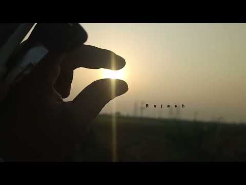 Sun shine 🌅 status 🌻/#sunset #sunshine #whatsappstatus