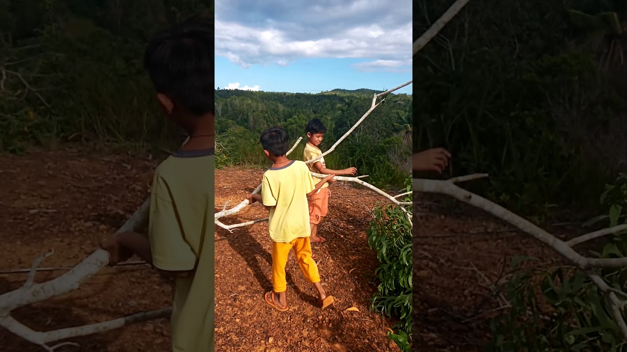 Chop chop chop the tree - YouTube