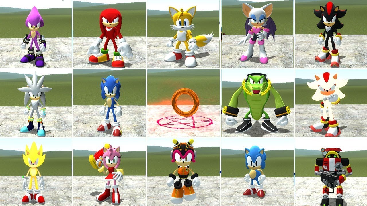 Evolution of My Unique New Shin Sonic Tapes Family and Who Will Be ...