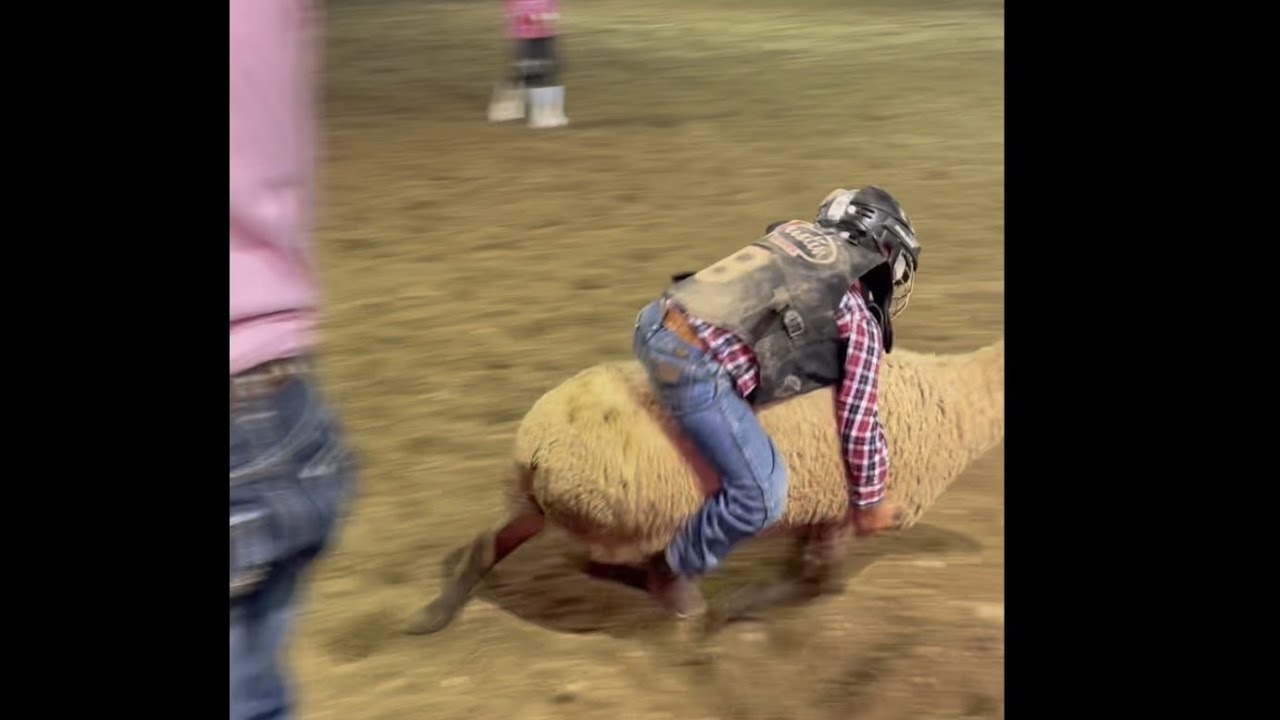 Rodeo Mutton Busting at Dayton! - YouTube
