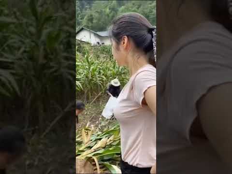 1Menit baru faham #short