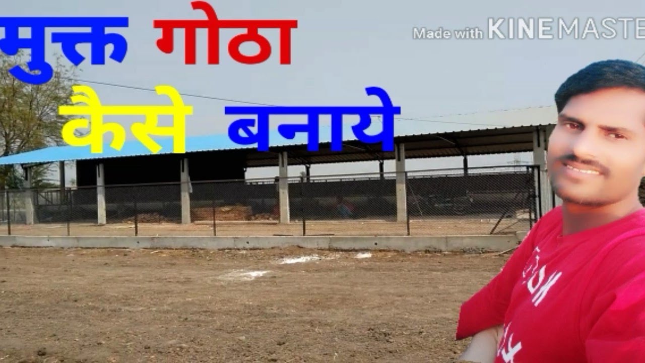 मुक्त गोठा, मुक्त गोठा संचार,mukta gotha,kaichi sed,9665557989 - YouTube