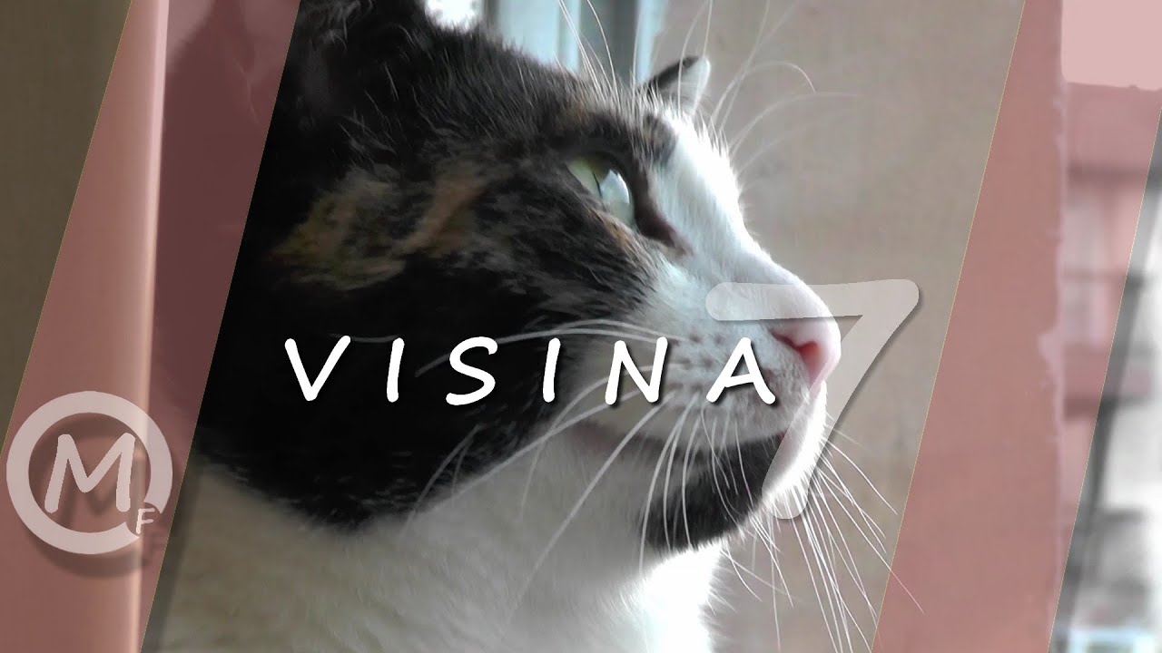Visina 7 || Plen - YouTube