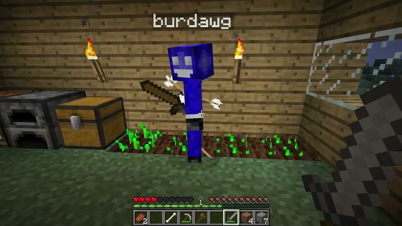 Minecraft Survival w/ Blue [Part 2]: Baby Chickens! - YouTube