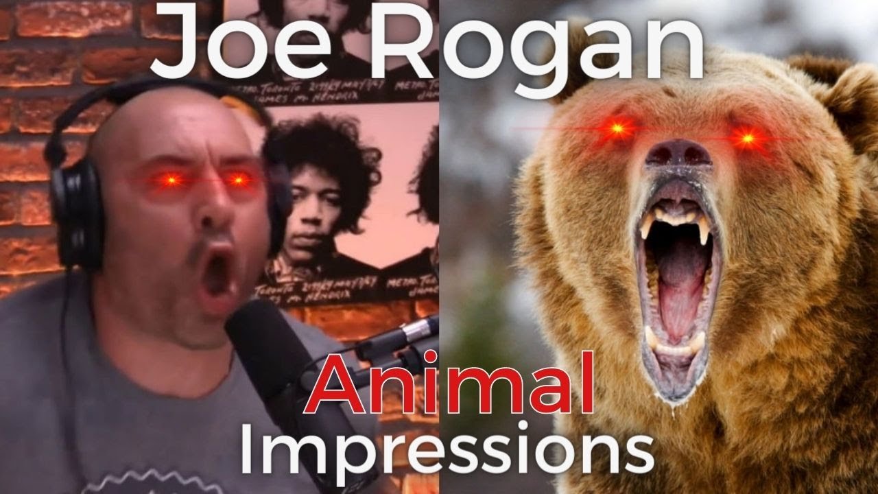 10 hours of silence broken by Joe Rogan Animal Noises - YouTube