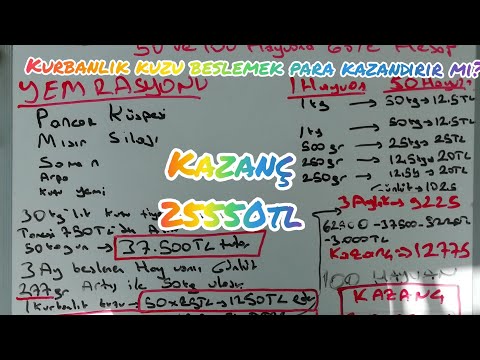 Kurbanlık Kuzu Beslemek Para Kazandırır mı??