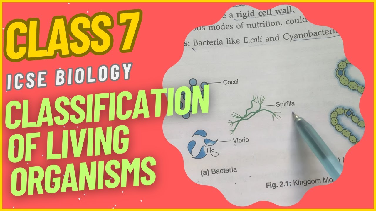 CLASS 7 Tutorial: Classification of Living Organisms || Biology || ICSE ...