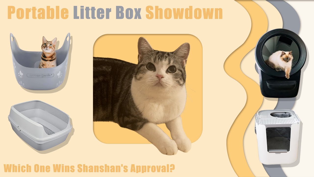 Portable Litter Box Showdown: Which One Wins Shanshan's Approval? - YouTube
