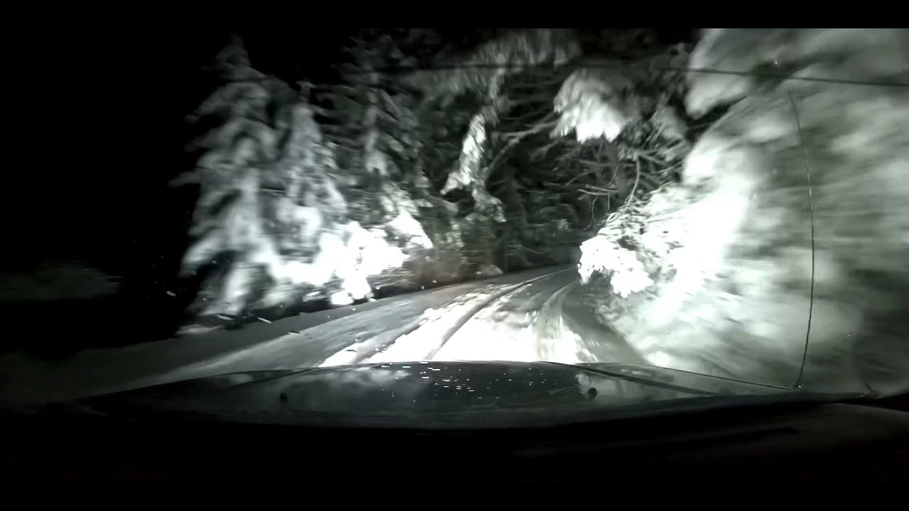 Night driving in snow forest (MATRIX download link) - YouTube