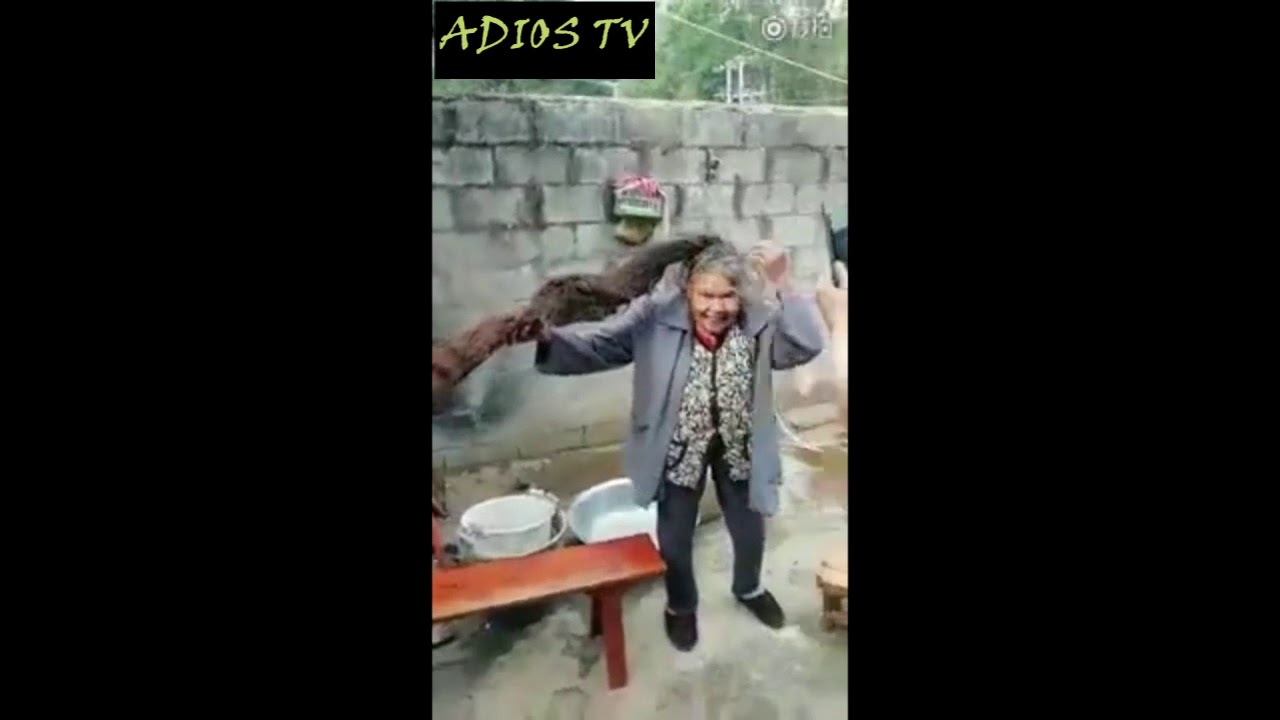 [Shocking] Long hair granny [충격] 긴머리 할머니 - YouTube