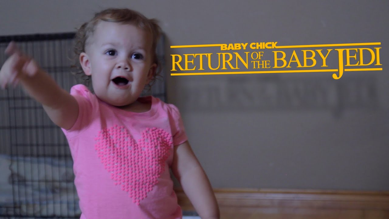RETURN OF THE BABY JEDI | Legend of Baby Chick - YouTube