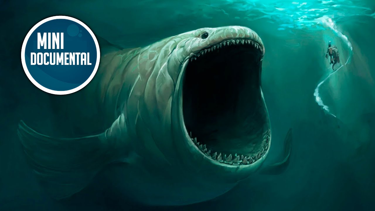 The Bloop (mini documental) - YouTube