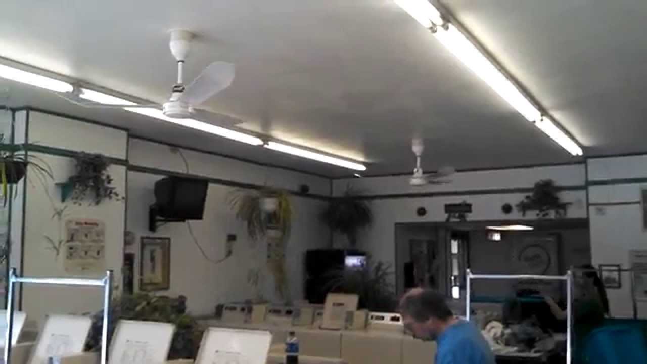 Laundromat #2 Ceiling Fan Replacement & Remodeling - After - YouTube